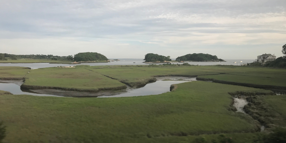 What Is The Role Of Estuaries In Maintaining Healthy Coastal Ecosystems ...
