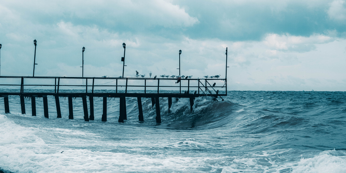 How Do The Currents Waves And Tides Affect Marine Life?