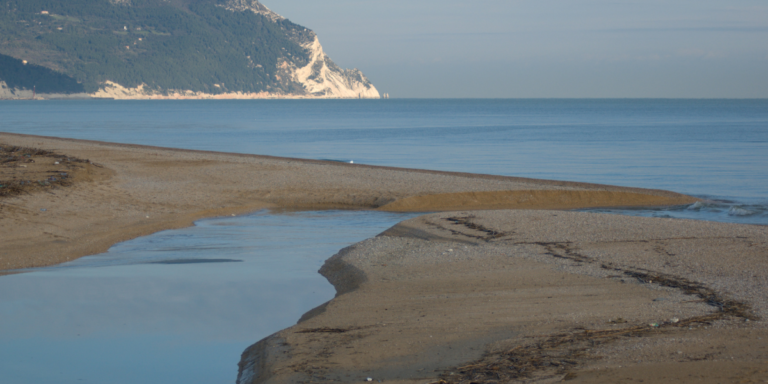 What Is The Role Of Estuaries In Maintaining Healthy Coastal Ecosystems?