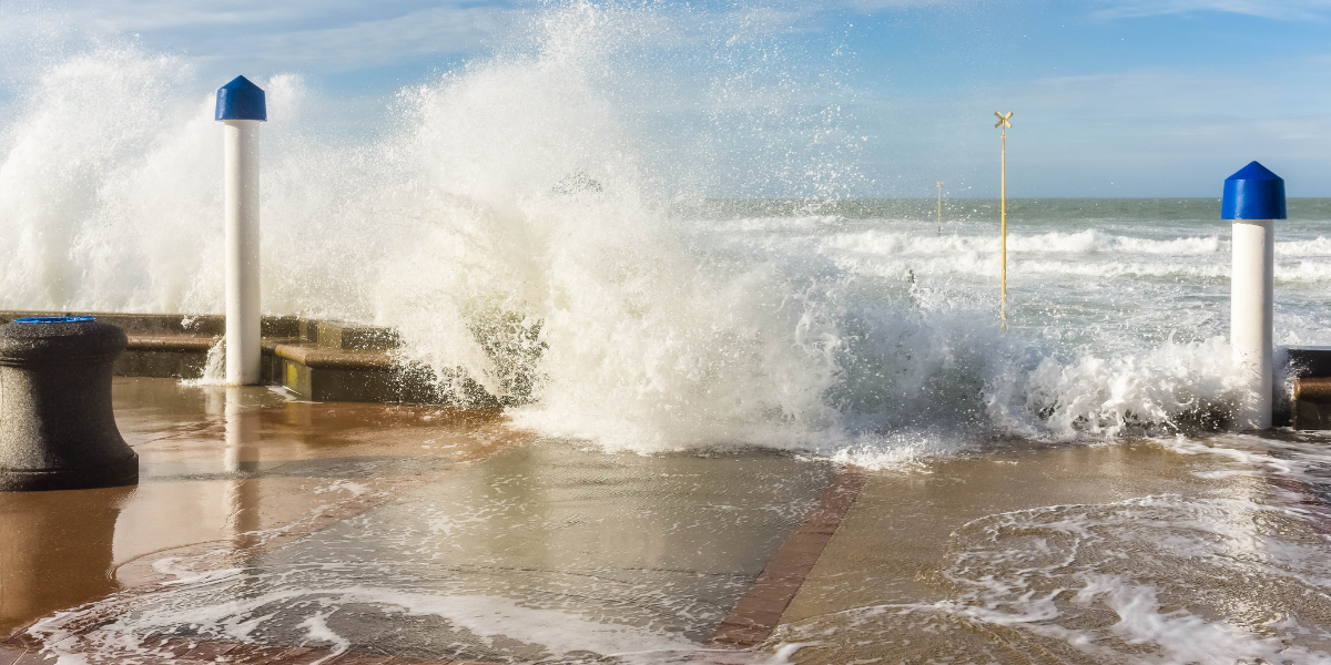 How Do Changes In Sea Level Affect Coastal Habitats And Marine Life?