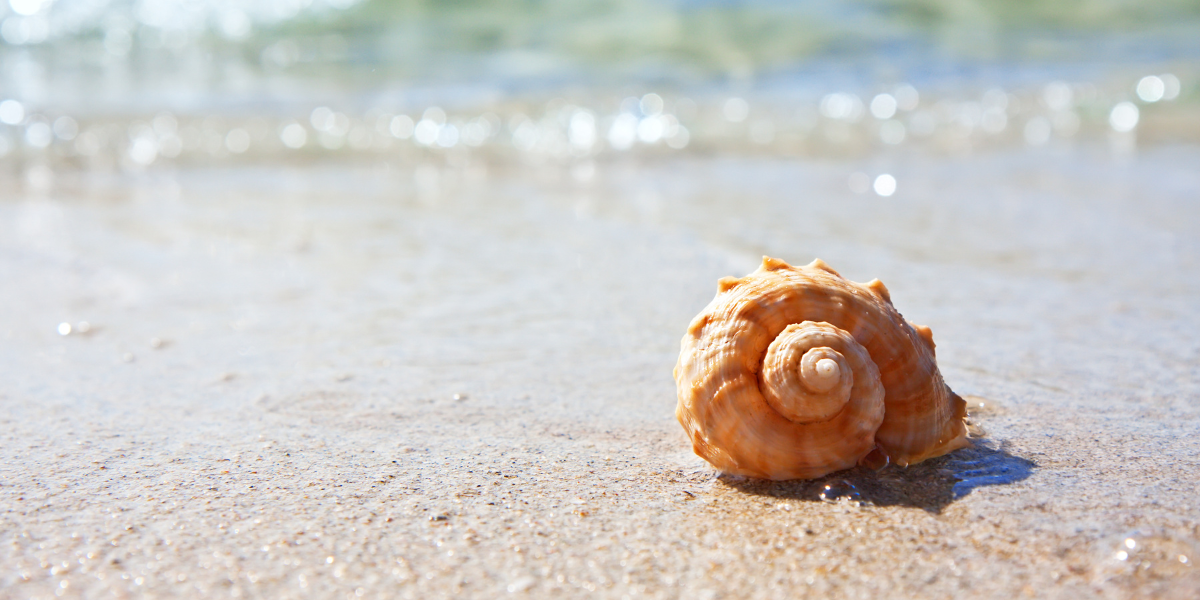 How Do Changes In Ocean Chemistry Affect Marine Life?